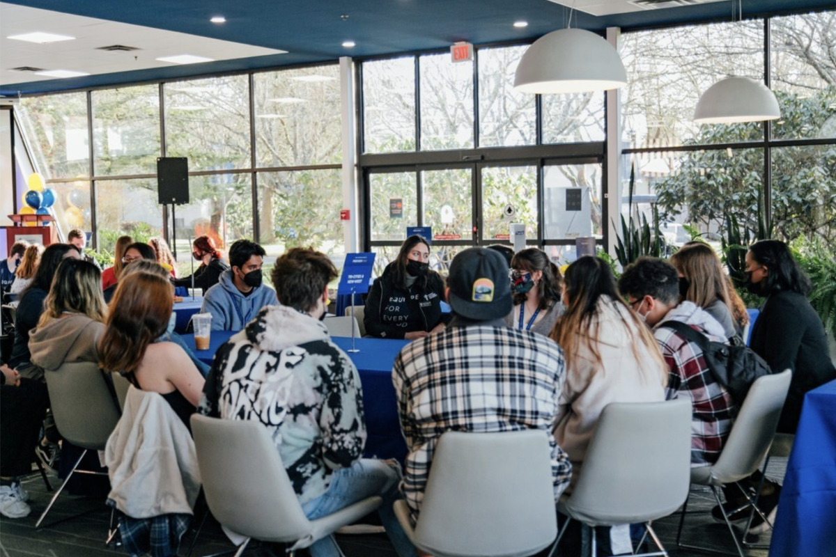 Over 300 guests joined Preview Day this year to catch a first glimpse ...