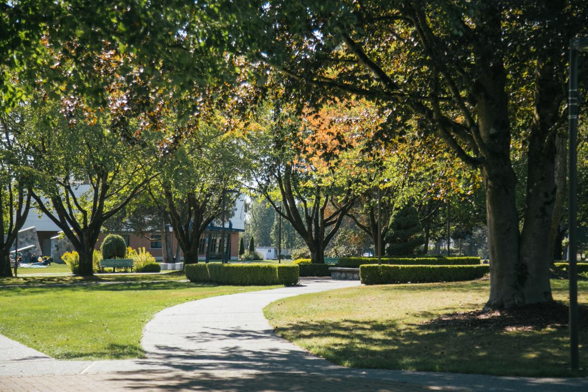 Fostering a vibrant research culture: TWU launches Fall 2021 Lunch and ...