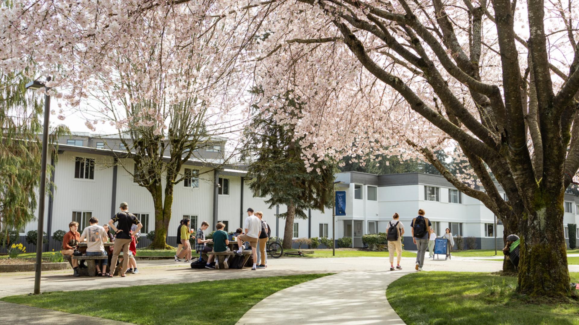 Langley Campus | Trinity Western University
